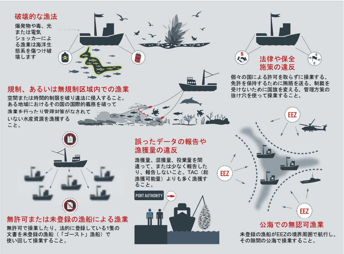 IUU (Illegal, Unreported and Unregulated) Fishing - Glossary - Seafood ...