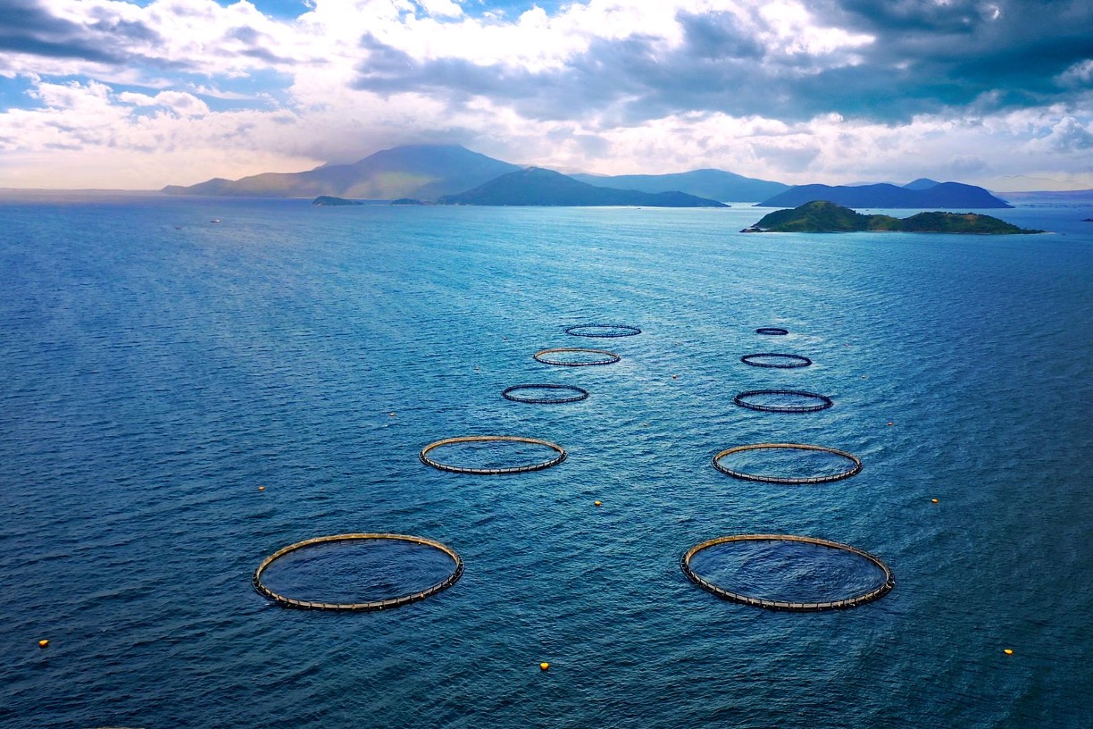 Seafood Legacy Times » Blog Archive 水産流通を規制する日本初の法律、所管官庁の担当課長が語る新制度の舞台裏 ...