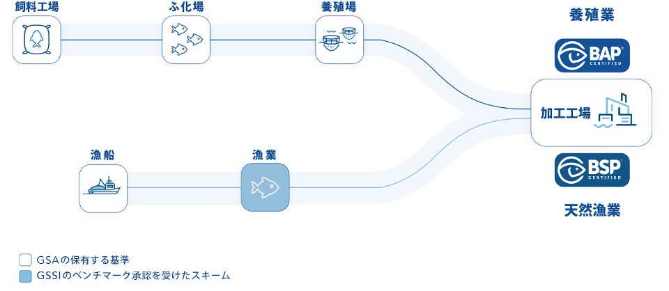 世界初・日本初の認証取得で注目！BAP認証の強みとは 日本担当者に聞く（前編） - Seafood Legacy Times
